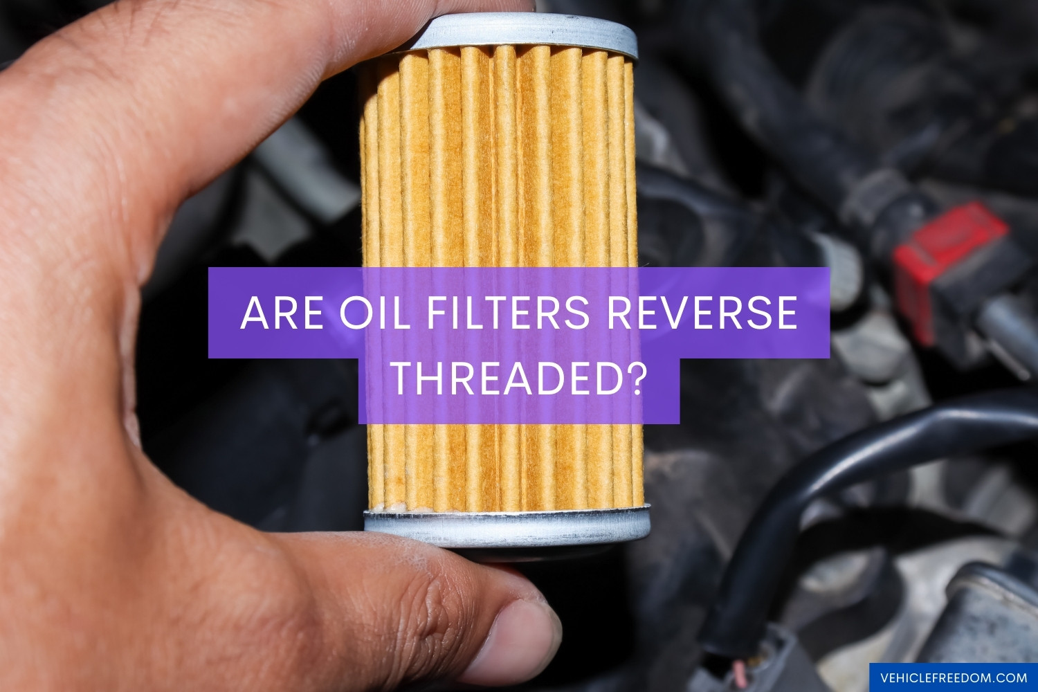 Are Oil Filters Reverse Threaded? (Explained) | Vehicle Freedom